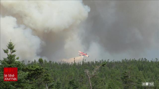 Plusieurs feux de forêt non maîtrisés dans l'est du Canada | Radio-Canada