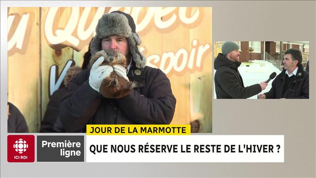 Jour de la marmotte : Fred la marmotte prédit un printemps hâtif ...