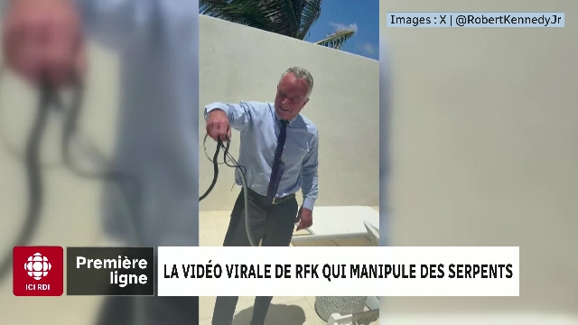 Robert F. Kennedy Jr manipule des serpents (et sa méthode est saluée ...