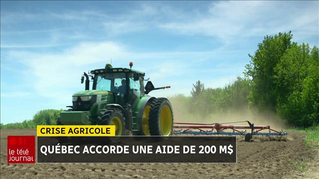 Québec versera une aide financière supplémentaire aux producteurs ...