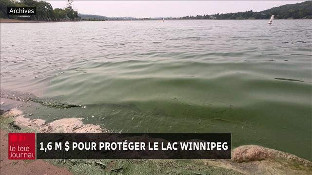 1,6 millions de dollars pour protéger le lac Winnipeg | Le téléjournal ...