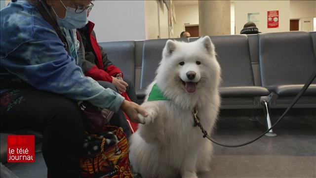 Sécurité à la frontière : « Québec aura Ottawa à l'oeil » : l'analyse d ...