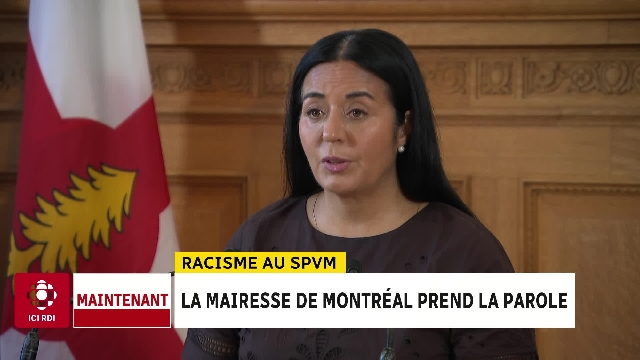 Panel politique : fin de session parlementaire | Radio-Canada