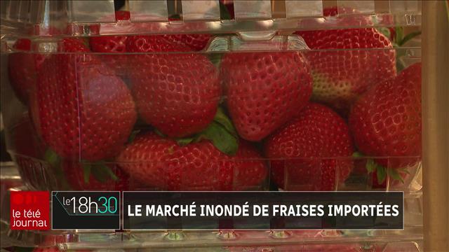 Des fraises importées vendues moins cher au Québec | Radio-Canada