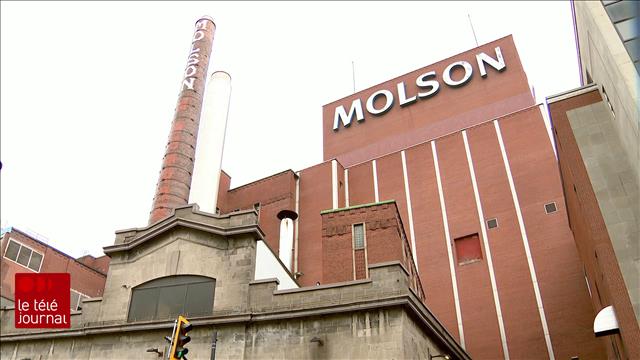 Démolition de la brasserie Molson | Radio-Canada