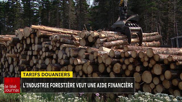 L'industrie forestière au Québec inquiète par l'arrivée de Donald Trump ...