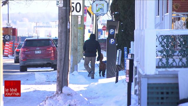 Radiorama | Radio-Canada