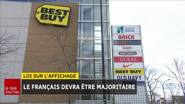 Elisa P. Serret | Profil | Radio-Canada