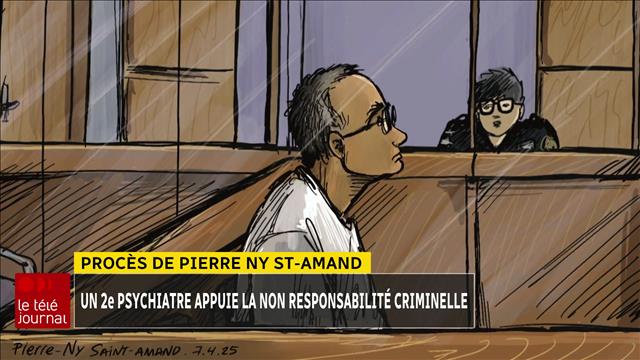 Procès de Pierre Ny St-Amand : un 2e psychiatre appuie la non ...