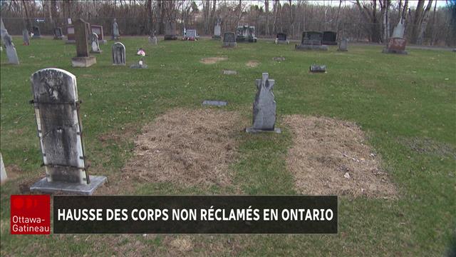 Hausse des corps non réclamés en Ontario | Le téléjournal Ottawa-Gatineau