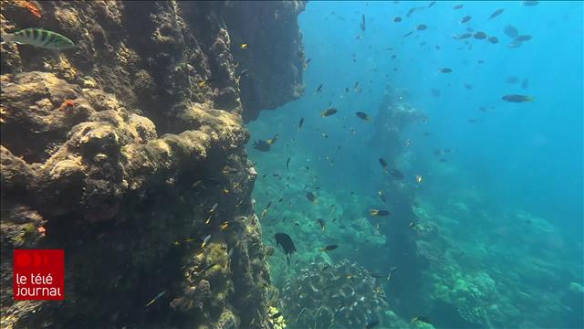 Le Téléjournal Acadie du 18 décembre | Radio-Canada