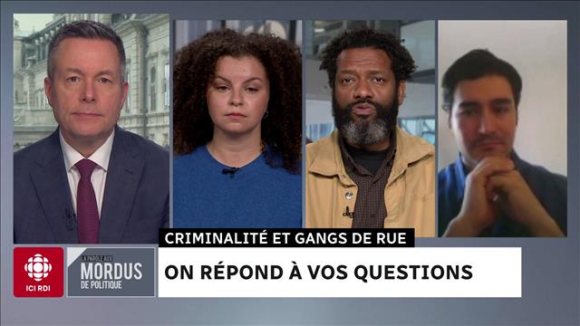 Criminalité et gangs de rue : on répond à vos questions | Mordus de ...
