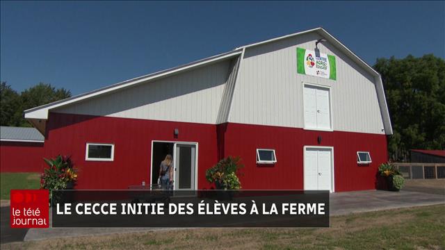 Le CECCE initie des élèves à la ferme | Radio-Canada