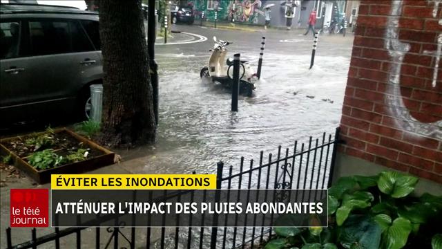 Les parcs éponges de Montréal pour éviter les inondations | Le ...
